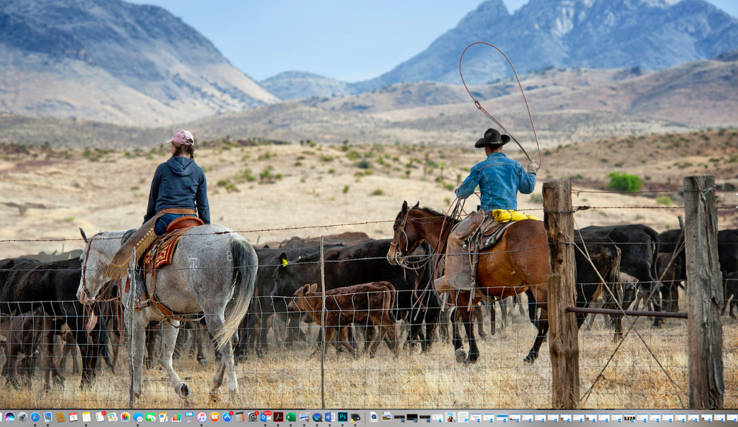 The Wagyu Cattle Rancher and Connoisseur – Eloquence Magazine